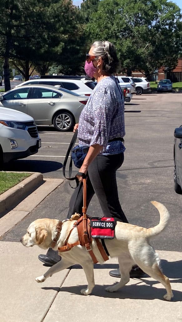Stories of Dogs in Service